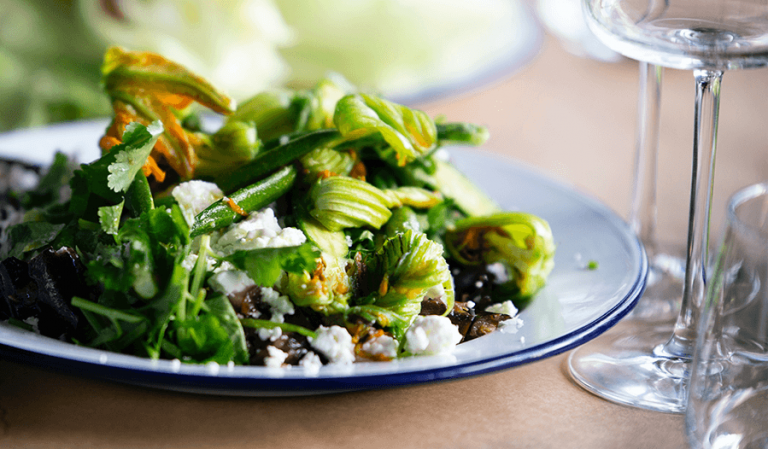 My Detox Diplomat – More about it all! – ph360 HealthTypes